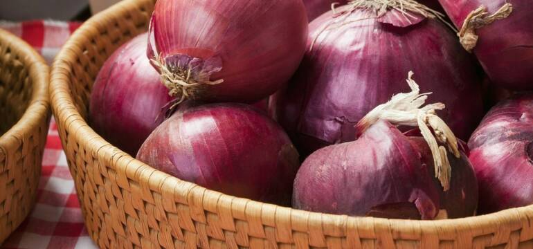 Poznaj rodzaje cebuli w Polsce oraz ofertę producenta Intermax!